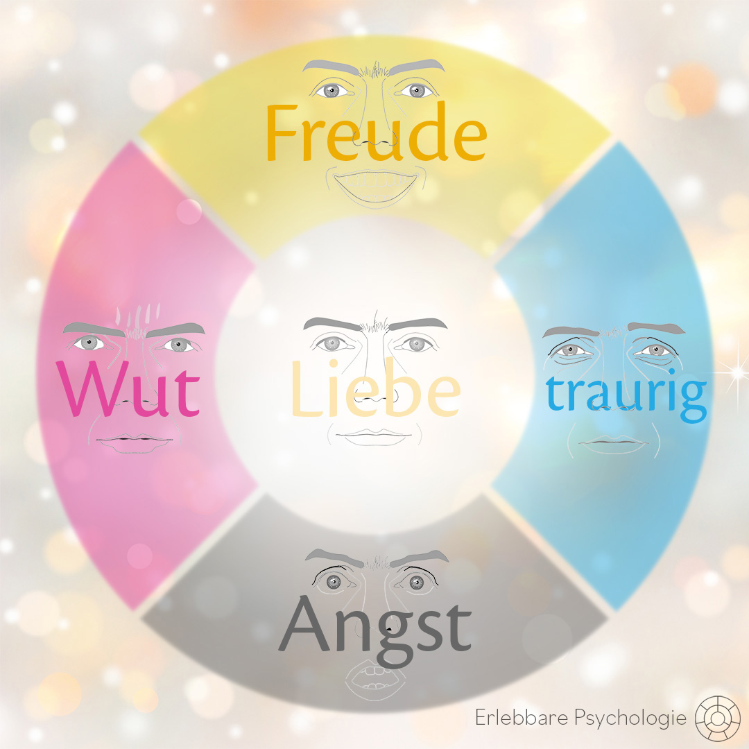 Die sechs Grundgefühle, Erlebbare Psychologie